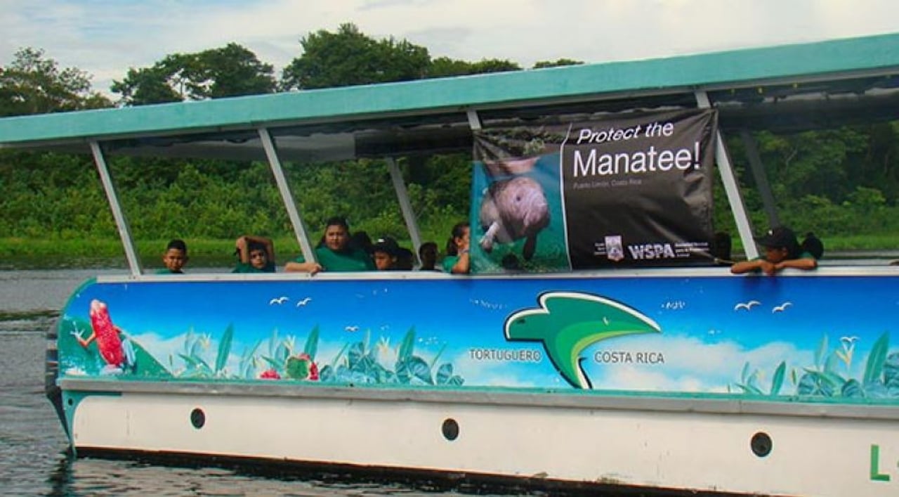 World Animal Protection celebra el decreto del día nacional del manatí ...