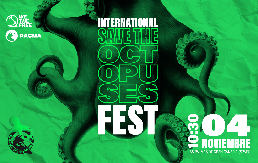 Save Octopuses Fest: unidos para proteger a los pulpos