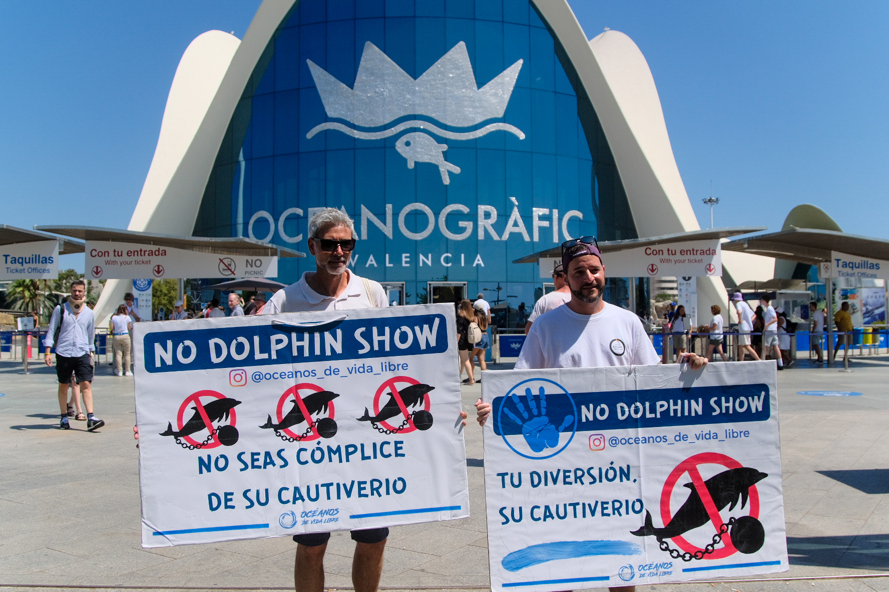 Falla de World Animal Protection frente al Oceanogràfic: por la ...